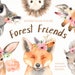 Forest Friends Watercolor Clip Art,woodland Animals, Kids Clipart,boho ...