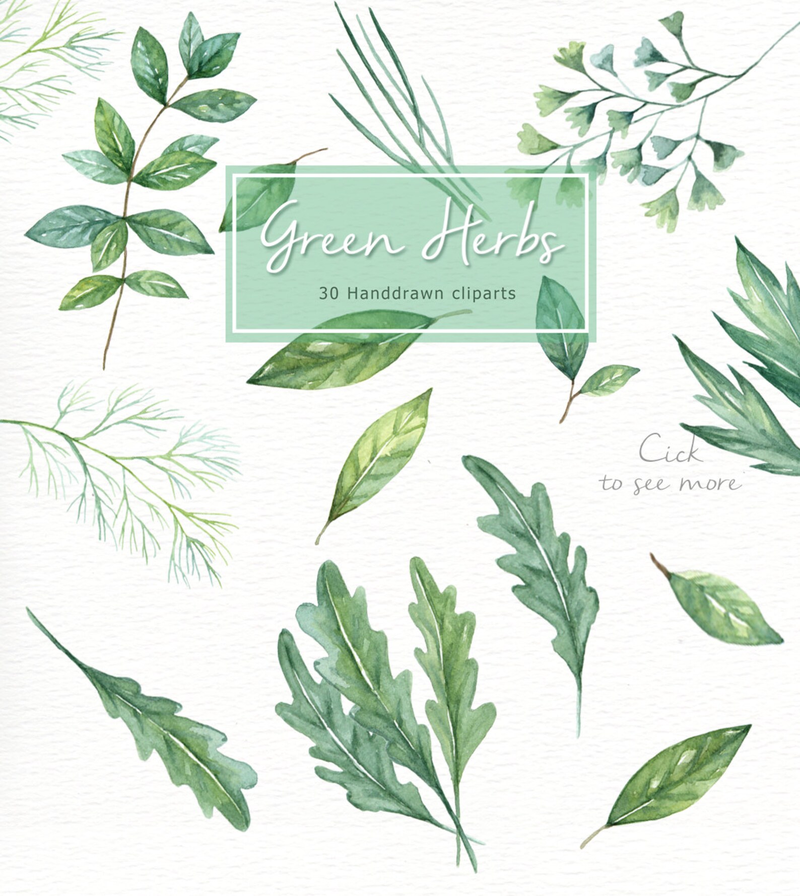 Green Herbs Watercolor Clipart Watercolor Flower Watercolour | Etsy