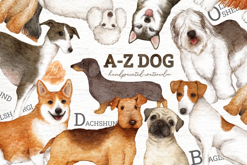 A-Z Dog Breeds Alphabets Watercolor Clip Arts, Woodland Animals, Kids ...