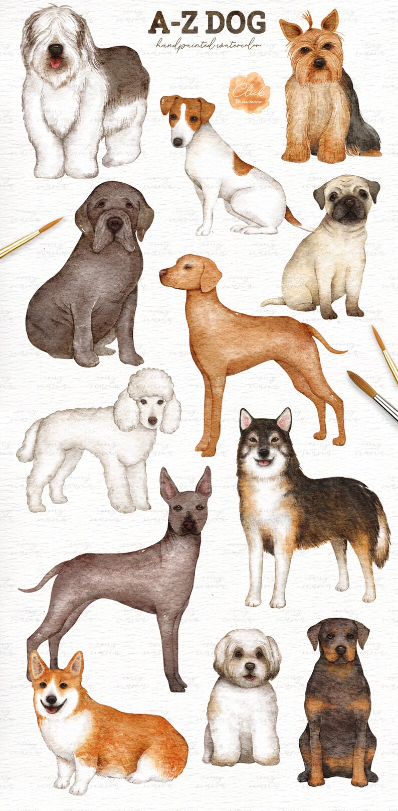 A-Z Dog Breeds Alphabets Watercolor Clip Arts, Woodland Animals, Kids ...