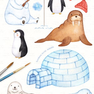 Northern Animals Watercolor Clip Art, Holiday Winter Set, Polar Animals ...