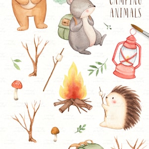 Camping Animals Watercolor Clip Arts, Woodland Animals, Kids Clipart ...
