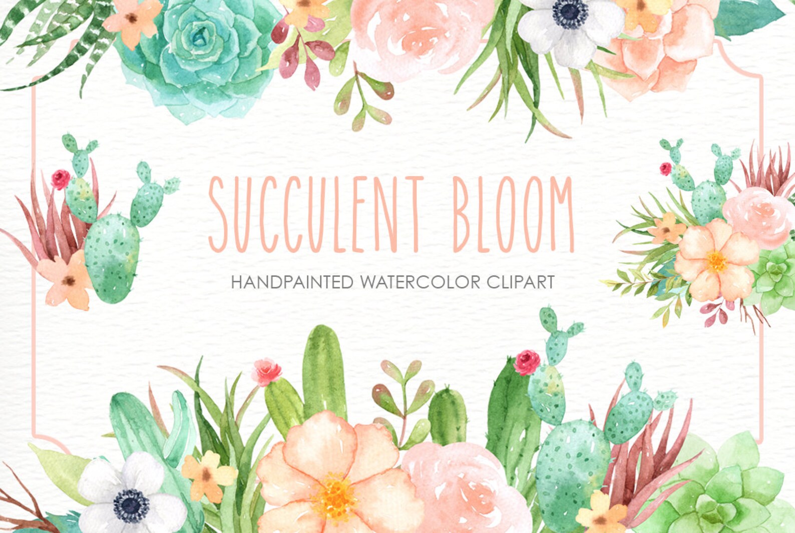 Succulent Bloom Watercolor Cliparts Cactus Flower Clipart - Etsy