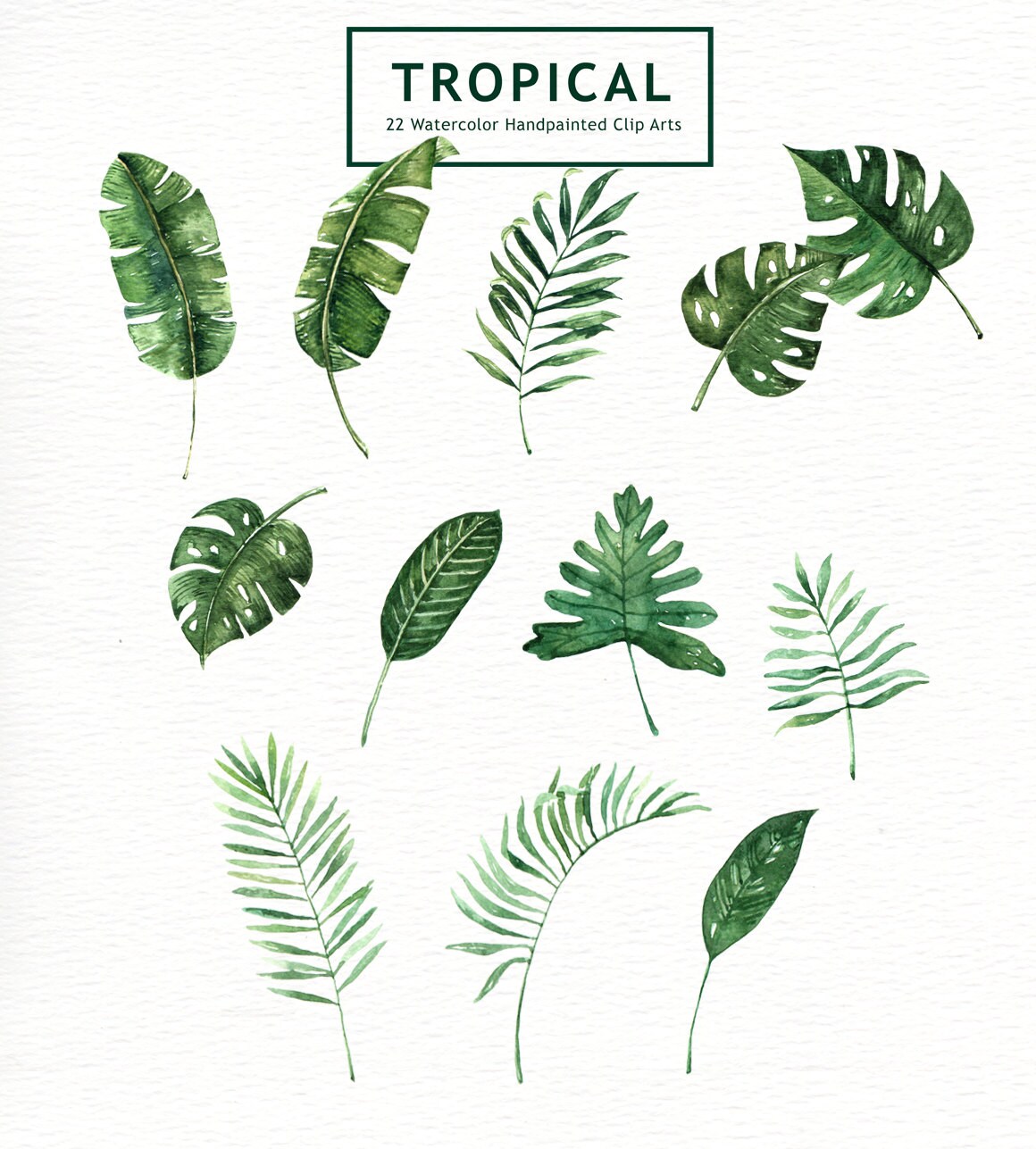 Tropical Leaves Watercolor Clipart Watercolor Flower - Etsy