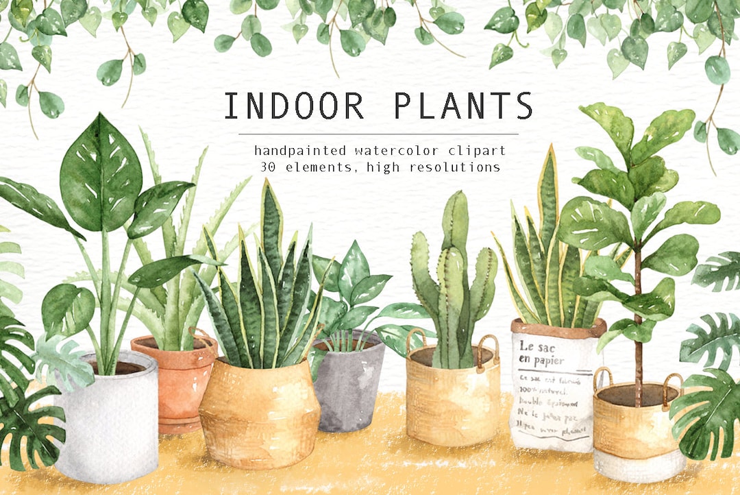 Indoor Plants Watercolor Clipart, Watercolour Leaves, Watercolor Flower ...