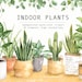 Indoor Plants Watercolor Clipart, Watercolour Leaves, Watercolor Flower ...