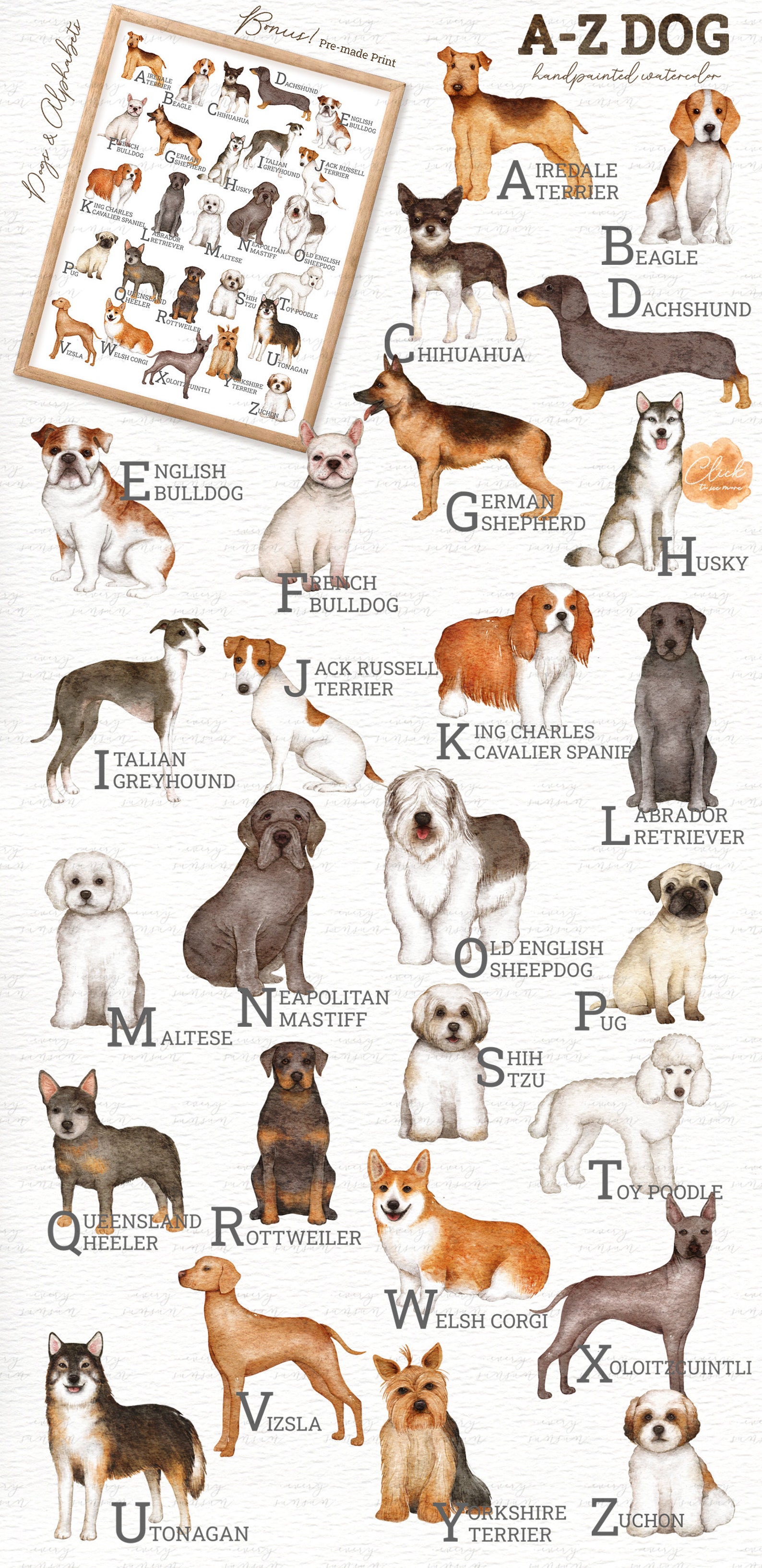 A-Z Dog Breeds Alphabets Watercolor Clip Arts, Woodland Animals, Kids ...