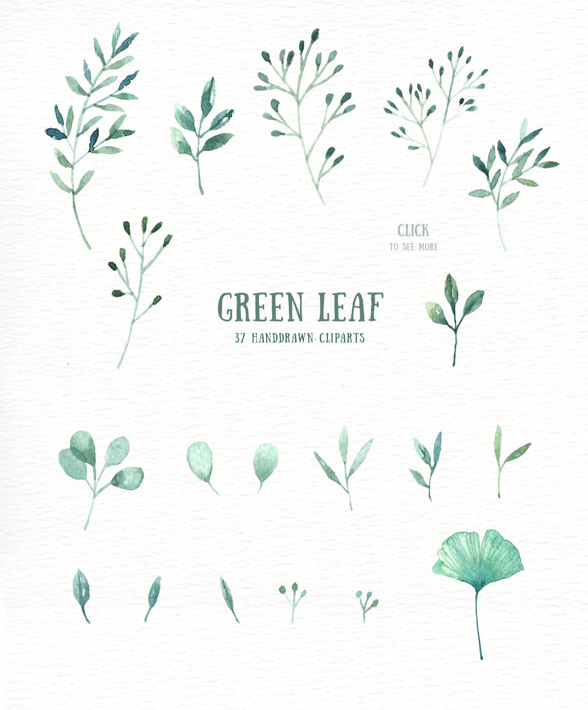 Green Leaf Watercolor Clipart, Watercolor Flower, Watercolour Leaves ...