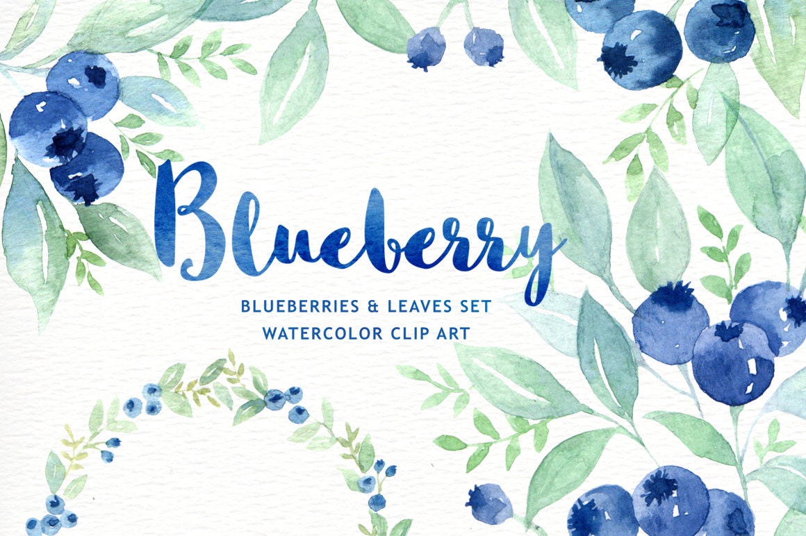 Blueberry Border Clipart