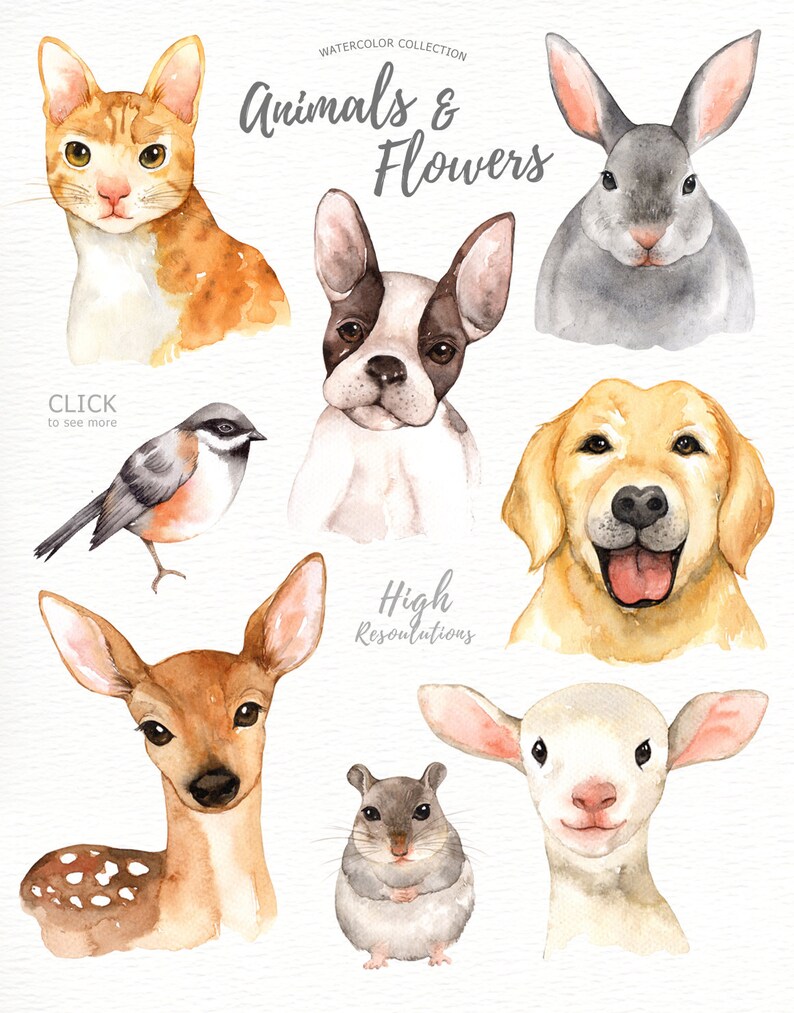 Animals and Flowers Watercolor Clip Art Woodland Animals - Etsy UK
