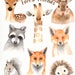 Forest Friends Watercolor Clip Art,woodland Animals, Kids Clipart,boho ...