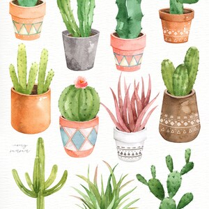 Boho Cactus Watercolor Cliparts, Boho Clipart, Botanical Plant ...