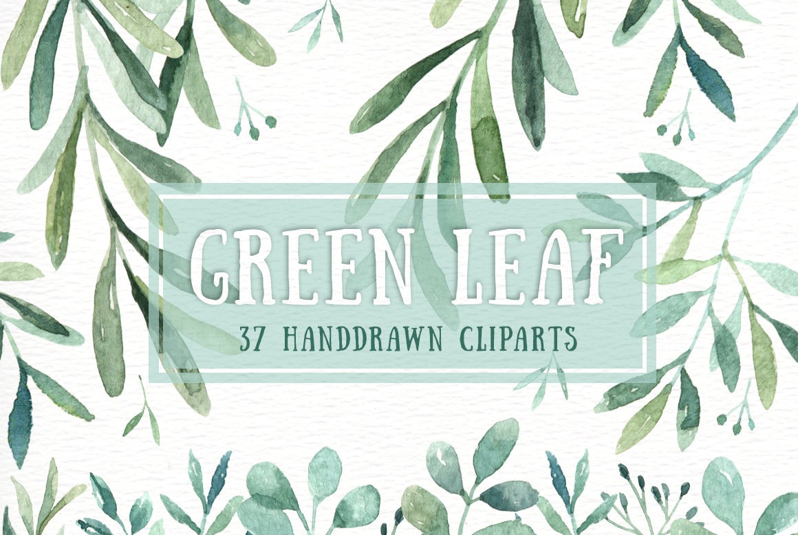 Green Leaf Watercolor Clipart, Watercolor Flower, Watercolour Leaves ...