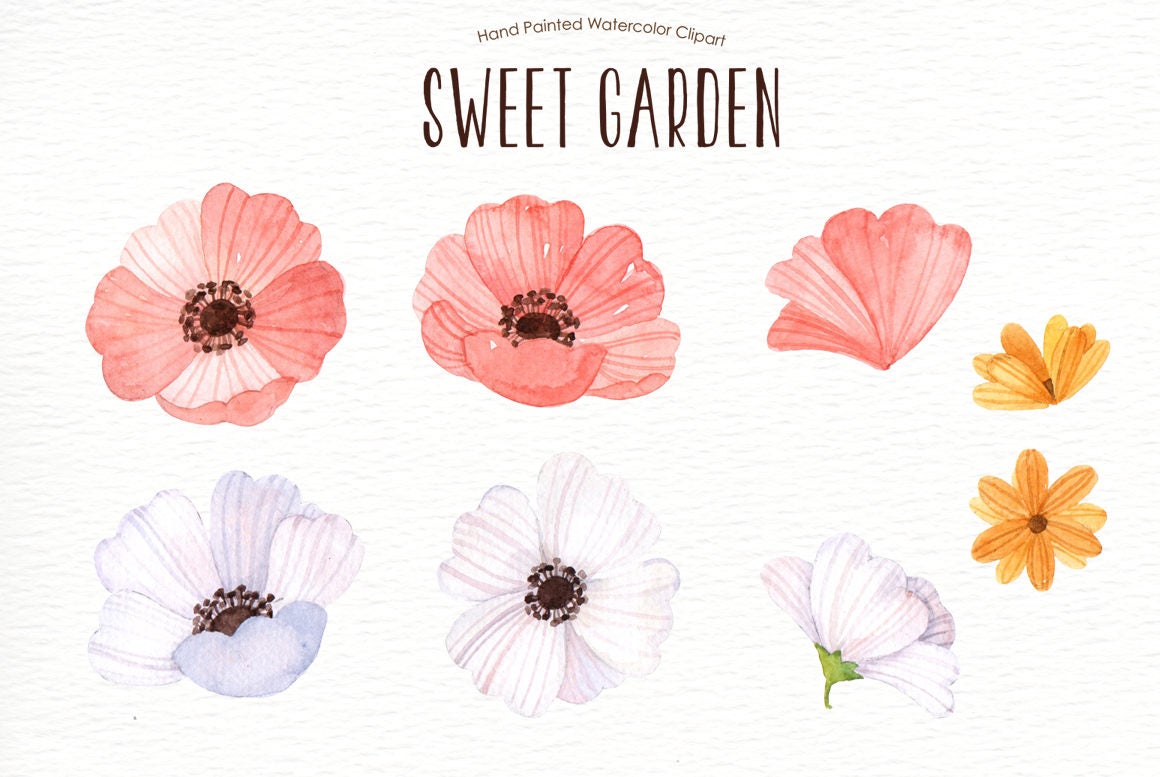 Sweet Garden Watercolor Clipart Watercolor Flowers Bouquets - Etsy