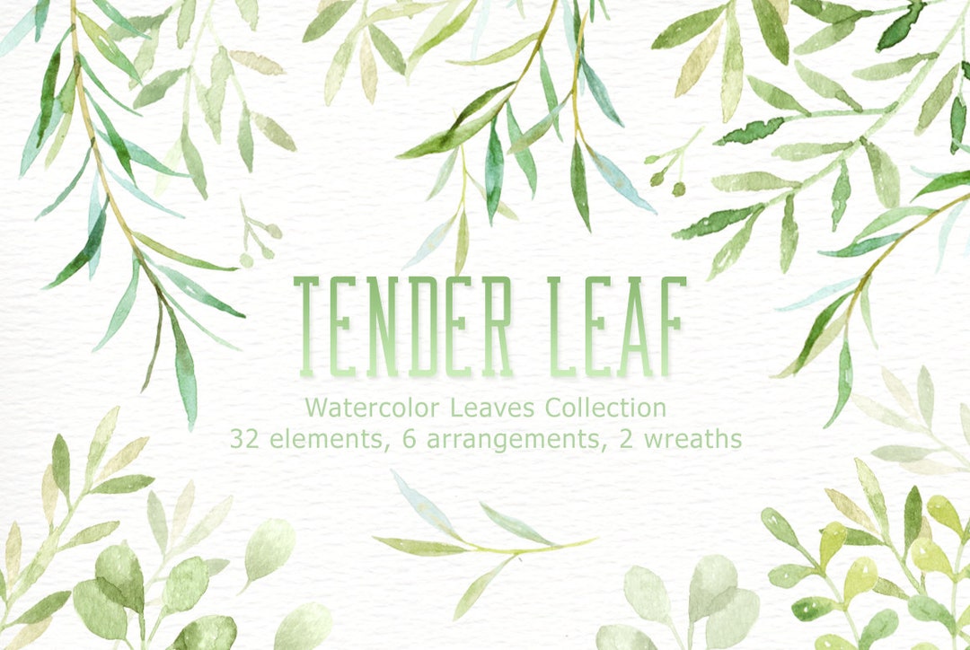 Tender Leaf Watercolor Clipart,watercolor Flower, Watercolour Leaves ...
