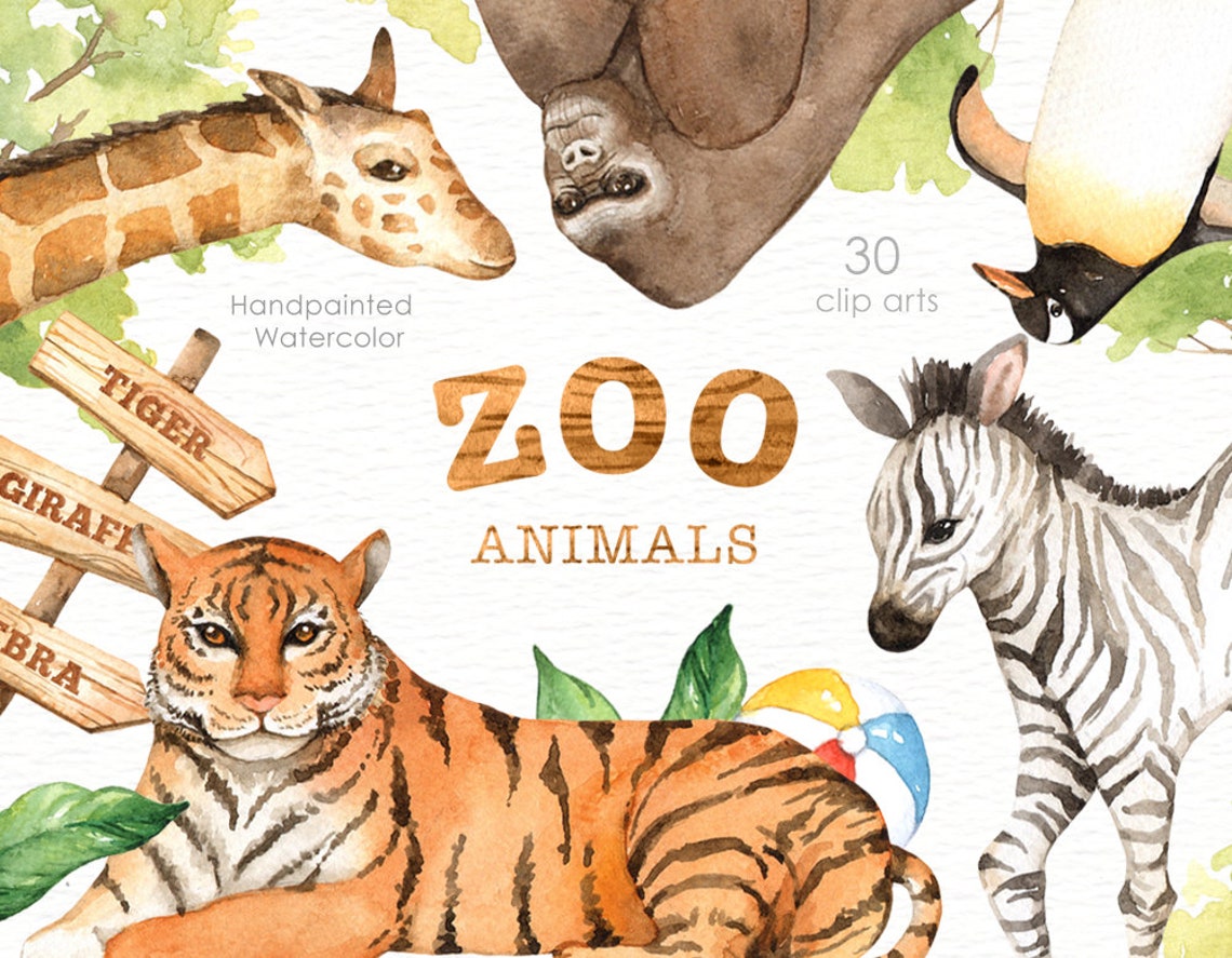Zoo Animals Watercolor Clipart Nursery Prints Zoo Animals | Etsy