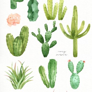 Boho Cactus Watercolor Cliparts, Boho Clipart, Botanical Plant ...