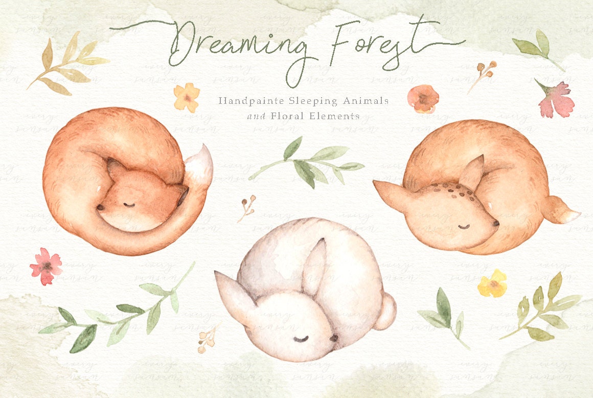 Dreaming Forest Watercolor Clip Art Woodland Animals Floral - Etsy