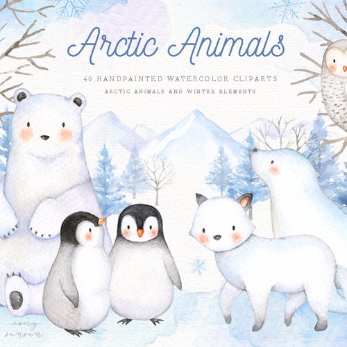 Arctic Animals Watercolor Clip Arts Holiday Winter Set Polar - Etsy