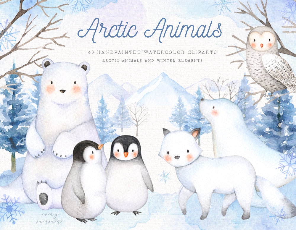 Arctic Animals Watercolor Clip Arts Holiday Winter Set Polar - Etsy