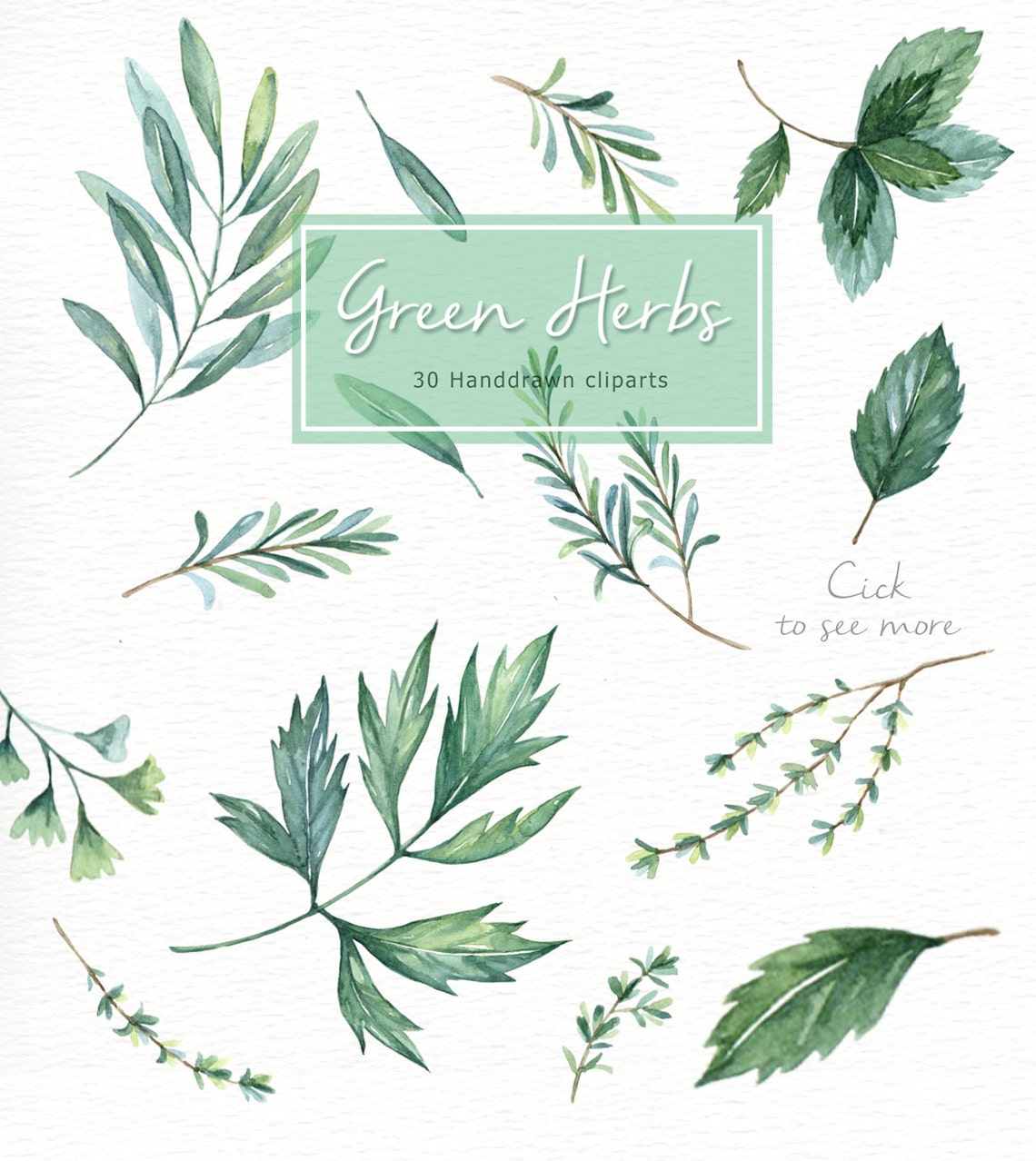 Green Herbs Watercolor clipart watercolor flower Watercolour | Etsy