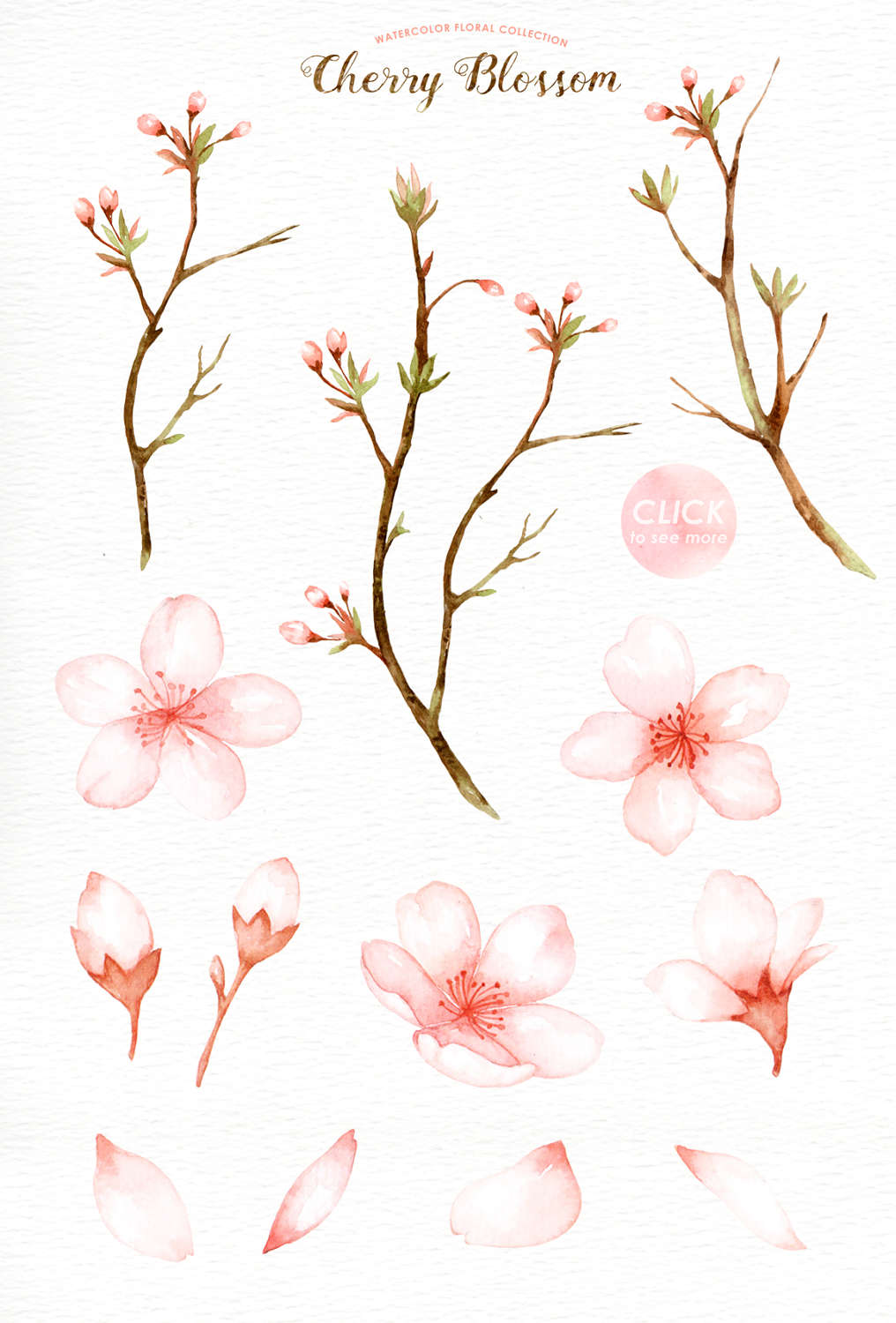 Cherry Blossom Watercolor Clip Art Spring Flowerflowers Clip - Etsy ...
