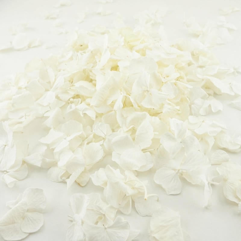 Petals Natural Confetti - Etsy UK