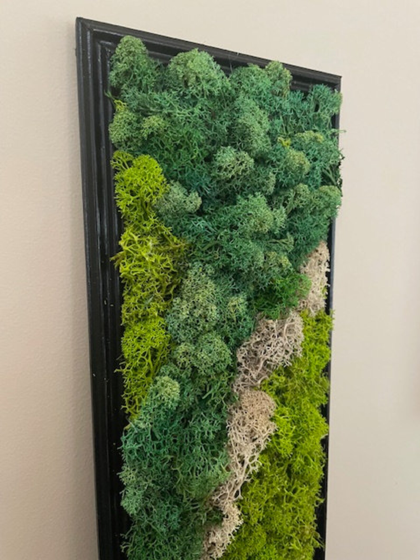 Moss Decor, Preserved Moss Wall, Moss Wall Art, Living Wall, Moss Frame ...