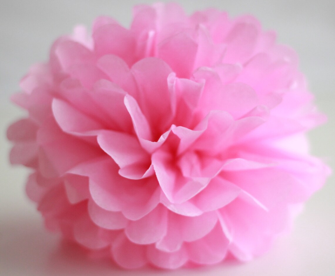 1 Tissue Paper Flower Baby Pink All Sizes Party - Etsy