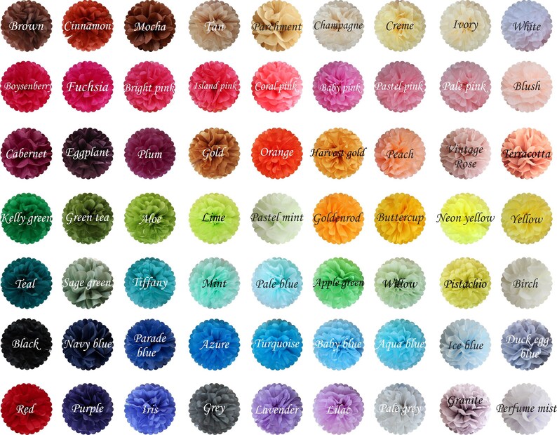 Princess Party Tissue Flowers Set of 10 large Size - Etsy