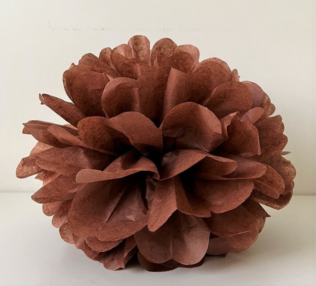 1 Tissue Paper Flower Mocha Party Decoration Princess - Etsy