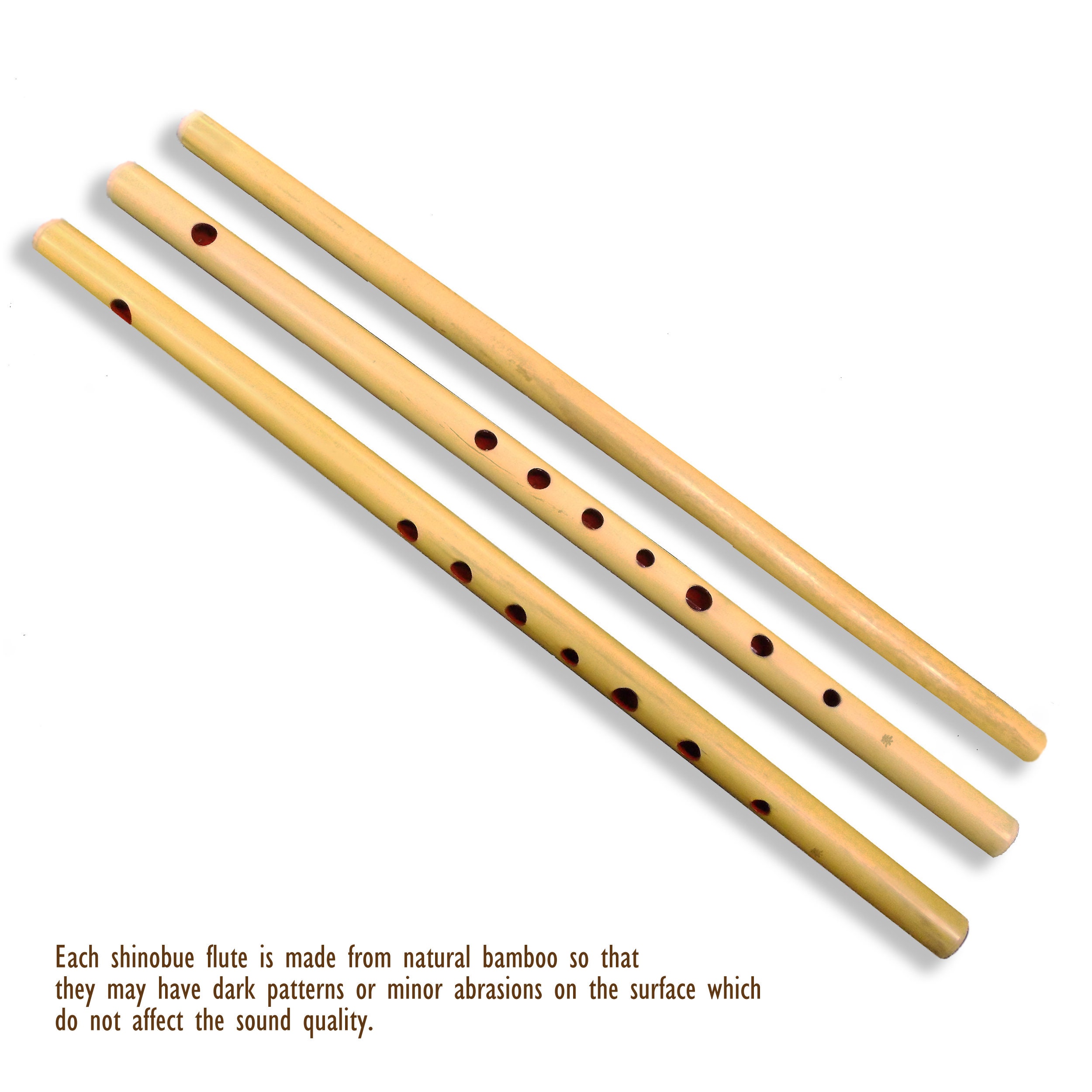 Shinobue Instrument | ubicaciondepersonas.cdmx.gob.mx