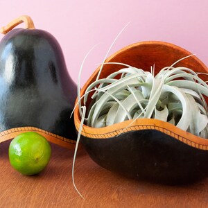 Large Pear Shaped Lidded Decorative Box Carved From a Dried Gourd ...