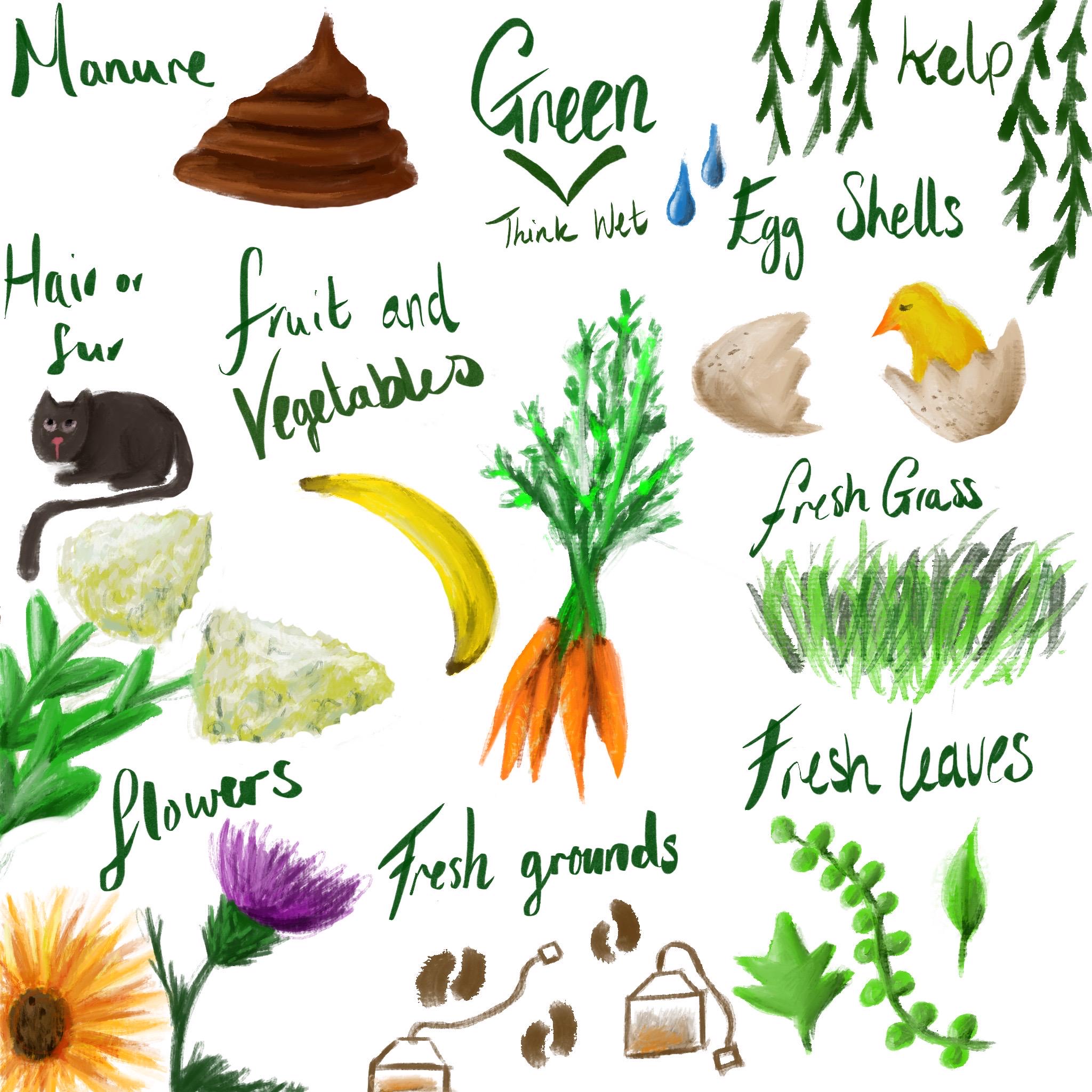 Composting Printable Guides - Etsy