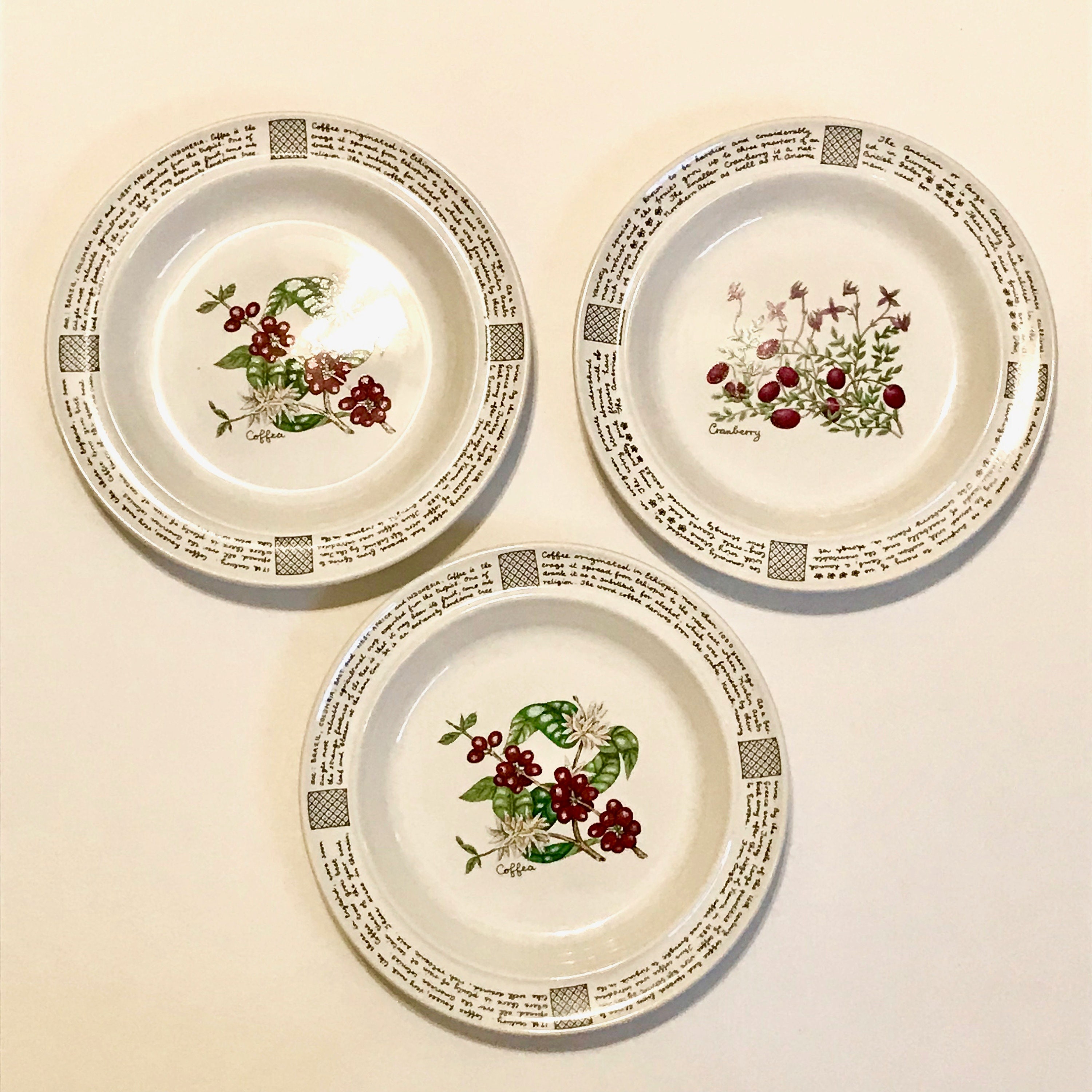 Vintage Ferns Plants Botanical Stoneware Dinner Plate Japan 70's Home ...