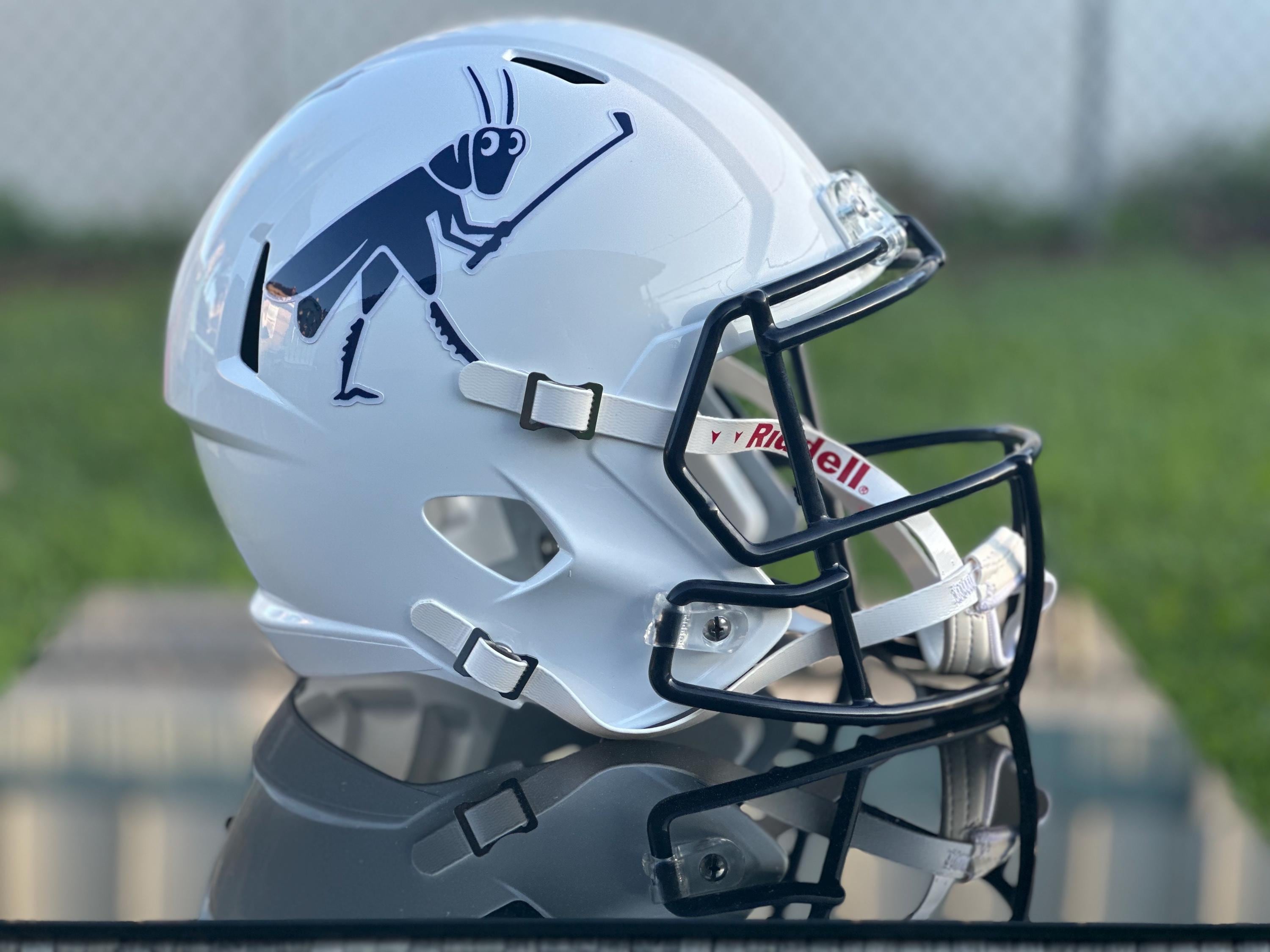 Custom Football Helmets Full Size - Etsy