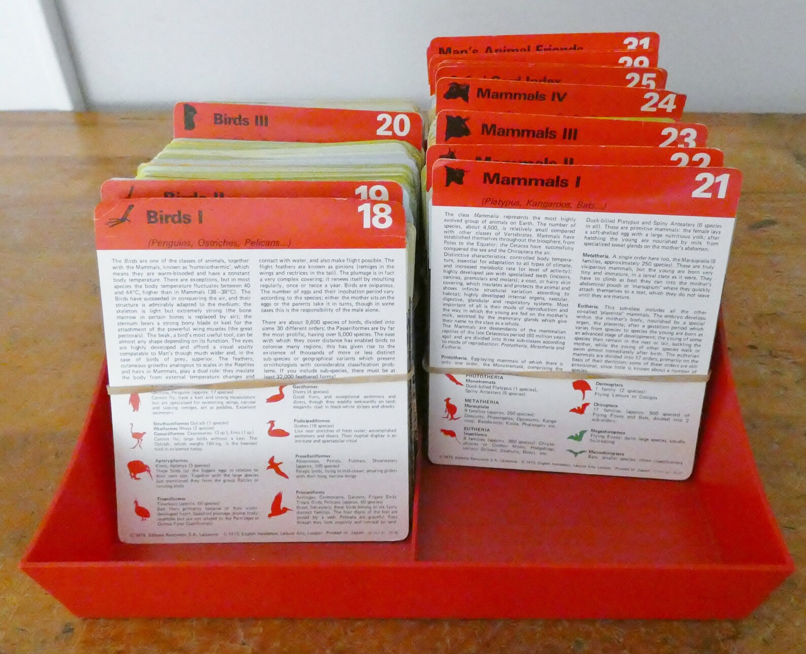 70s Safari Cards and Tray, Editions Recontre, 15 Title Cards, 1,052 ...