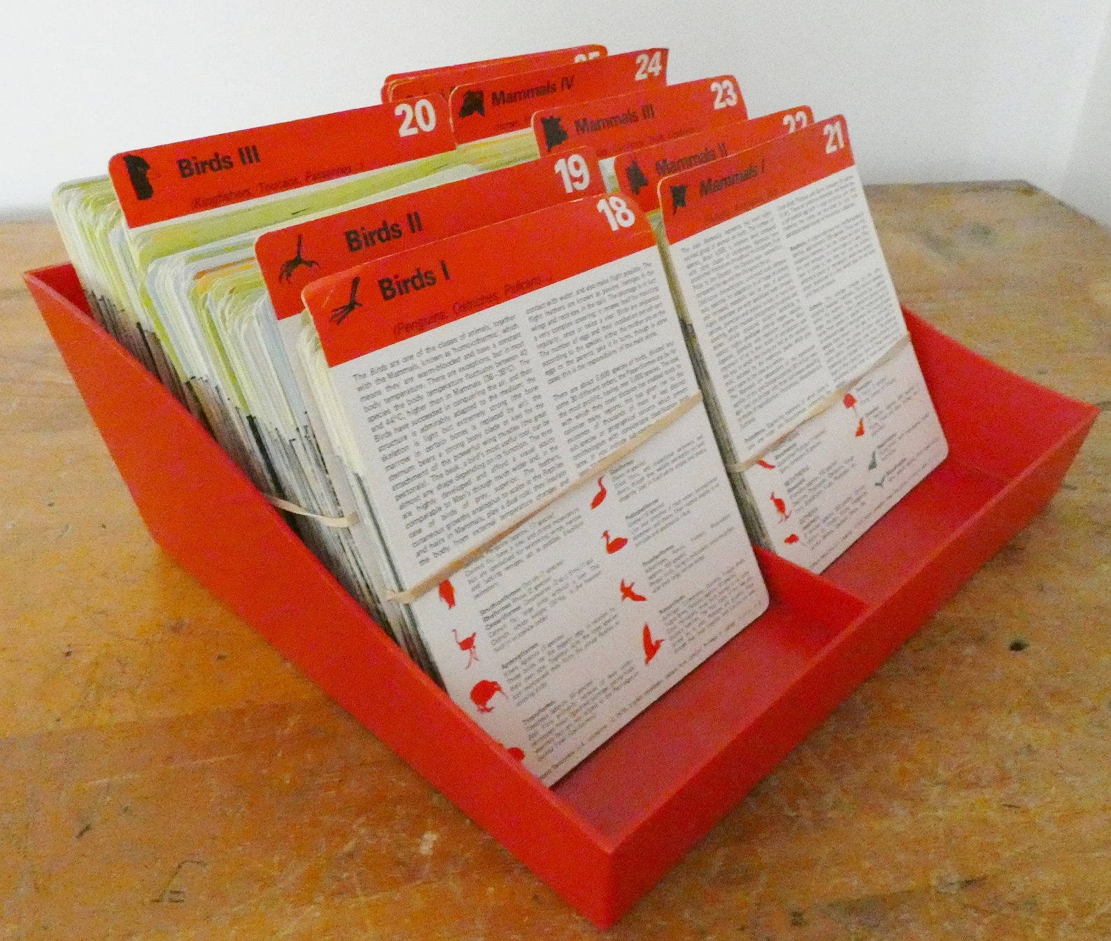 70s Safari Cards and Tray, Editions Recontre, 15 Title Cards, 1,052 ...