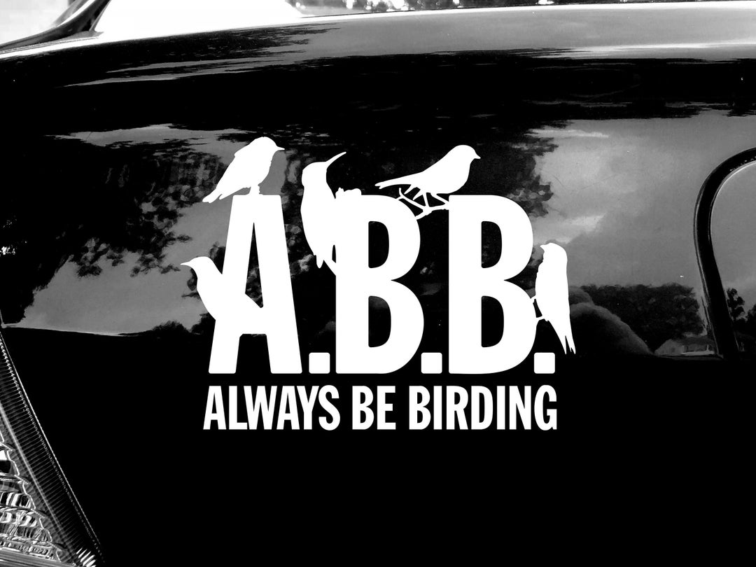 Always Be Birding Window Decal Sticker Bird Birdwatcher Birds - Etsy