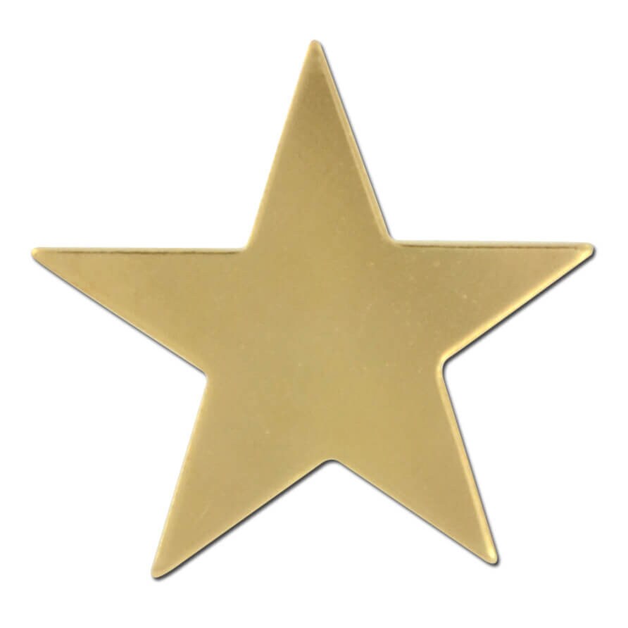 Gold or Silver Star Lapel Pin - Etsy