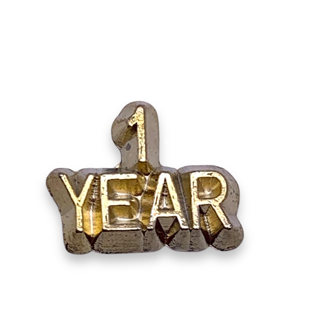 1 Year Lapel Pin - Etsy