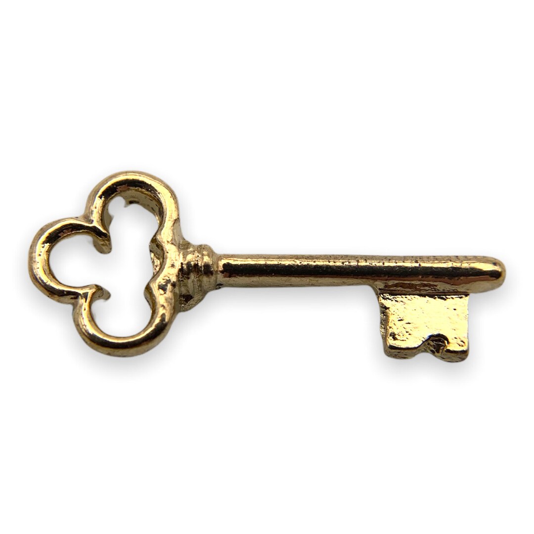 D02 Clover Head Skeleton Key Lapel Pin - Etsy