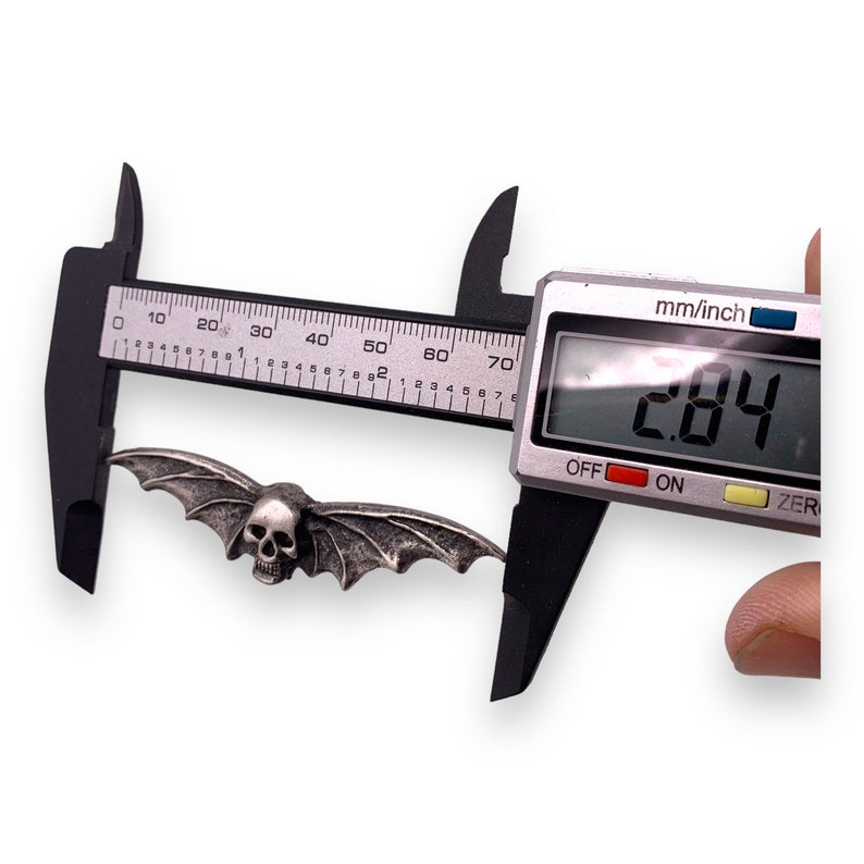 Skull With Wings Pin - Etsy