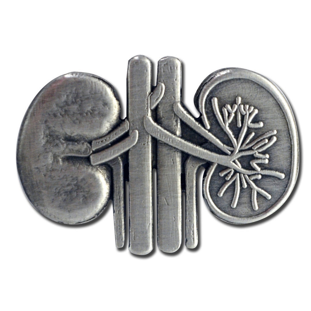 Human Kidneys Lapel Pin Proudly Made in USA - Etsy