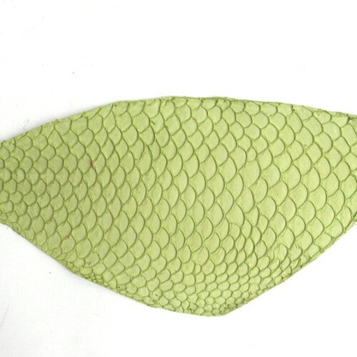 Real Gold Metal Black TILAPIA Fish Skin | Etsy