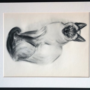 Clare Turley Newberry - 1956 - BLUE POINT SIAMESE Female Cat Big ...