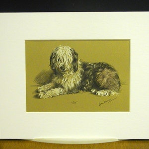 Lucy Dawson Print 1946 Good Friends - OLD ENGLISH SHEEPDOG Sheep Dog ...