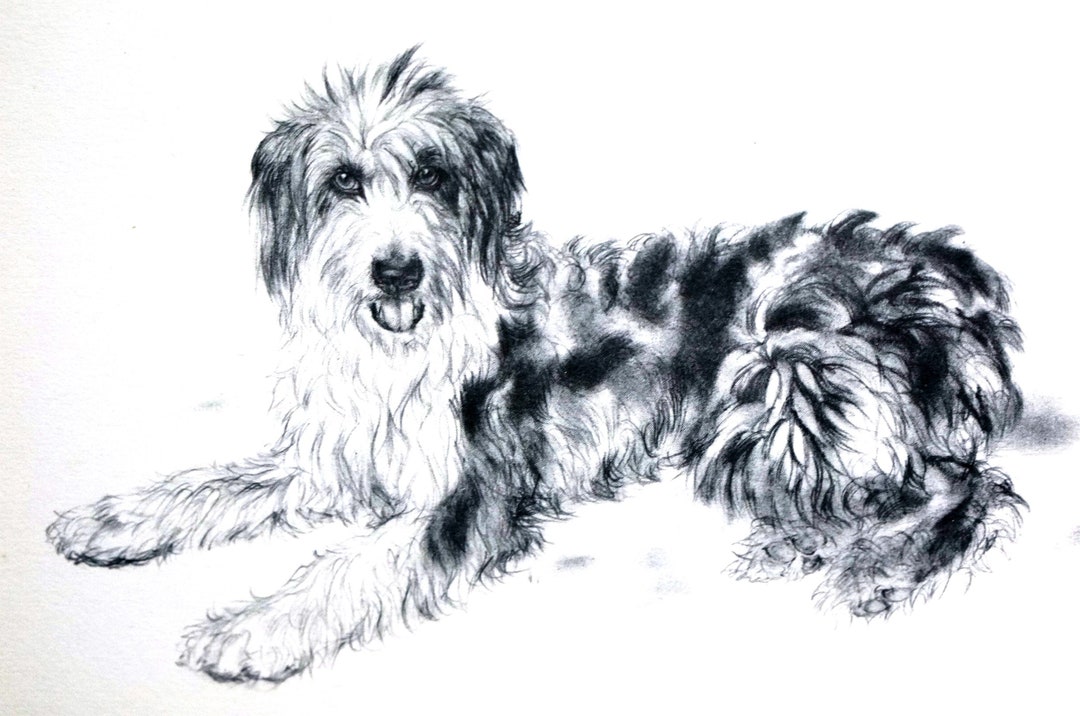 Sheep Dog Puppy Matted Print 1937 BAGGAGE SHEEPDOG Vintage Art ...