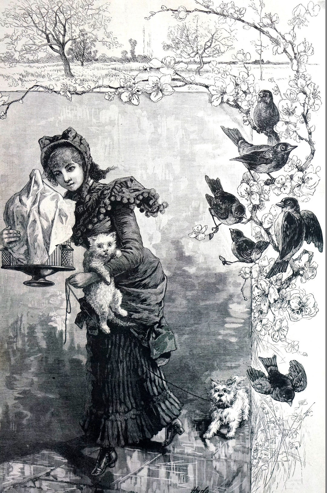 May Day 1884 COUNTRY and CITY HOLIDAY Celebration Birds Flowers Cats ...