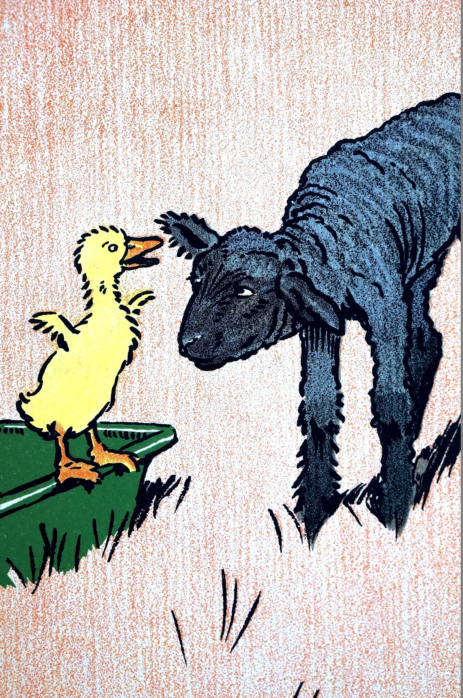 Prints Lithographs Baby Lamb LAMBKIN LAUGHS Professionally Matted ...